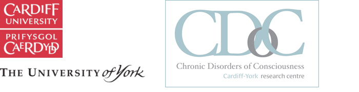 cdoc-banner71.jpg - Coma & Disorders of Consciousness Research Centre